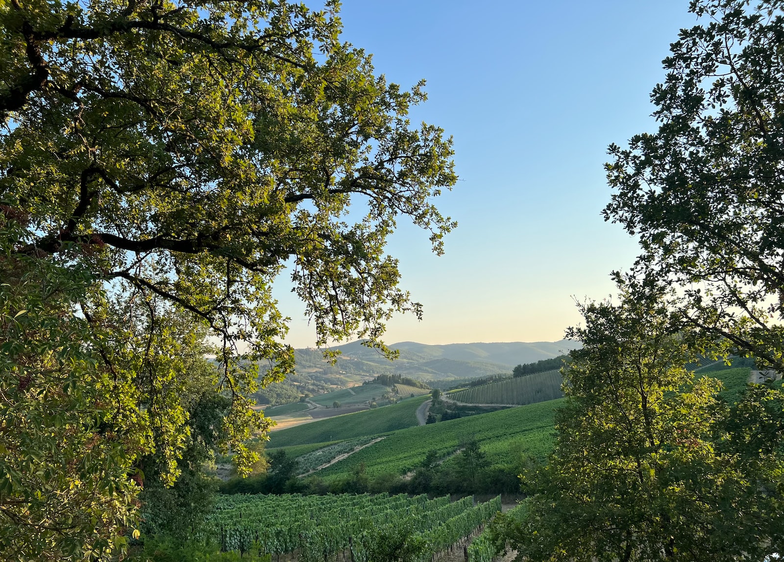 La Toscane : culture, découverte et gastronomie