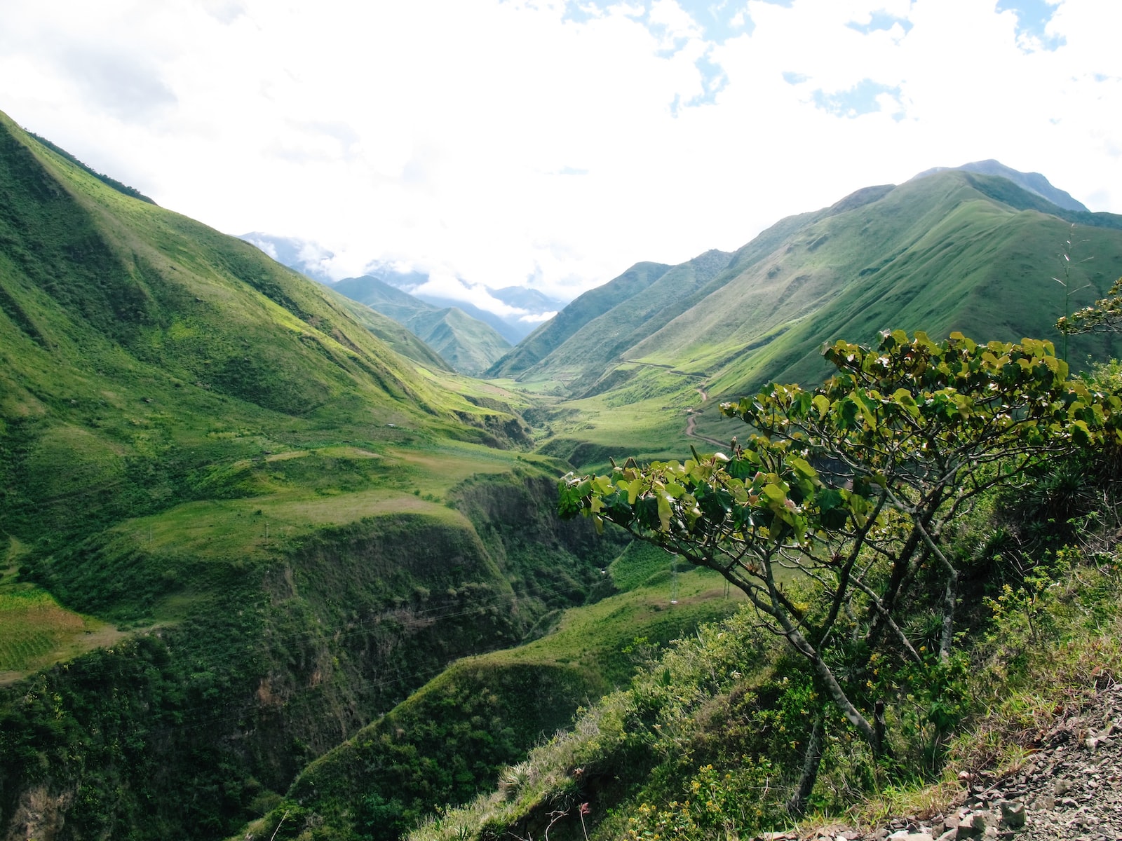L'équateur : Galapagos, cordillère des Andes et Amazonie